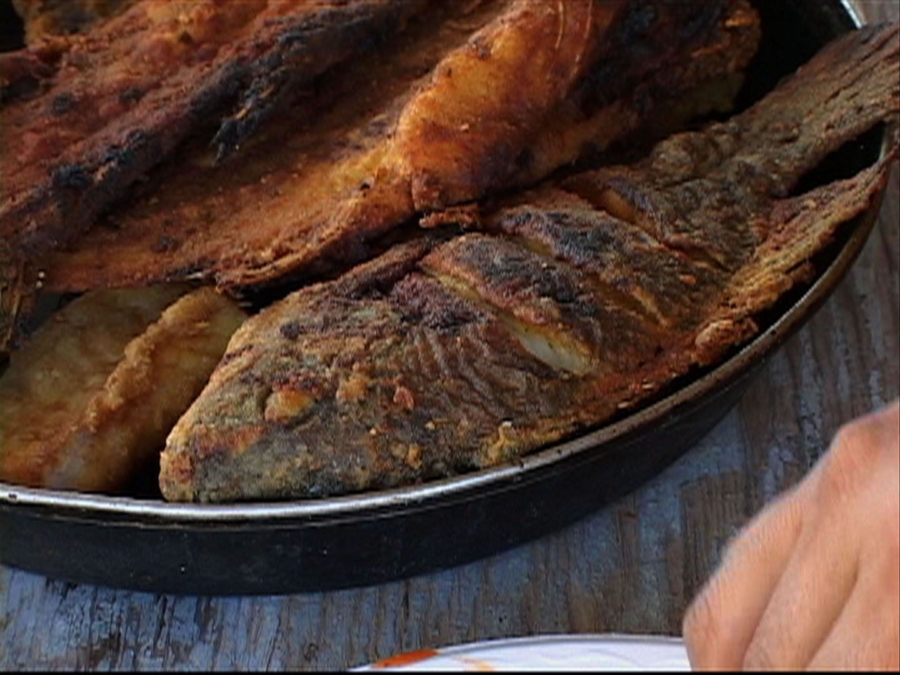 Gastronomía Cucapá, cocina ancestral que se mantiene viva en el ...