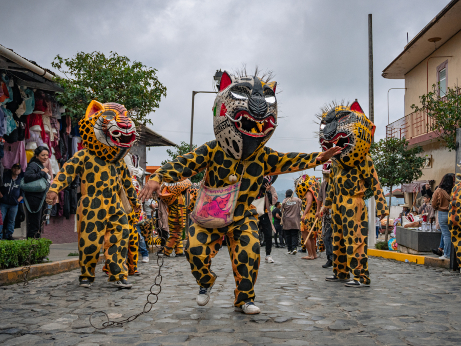 La danza de los Tecuanes en Guerrero: los jaguares que atraen la lluvia ...